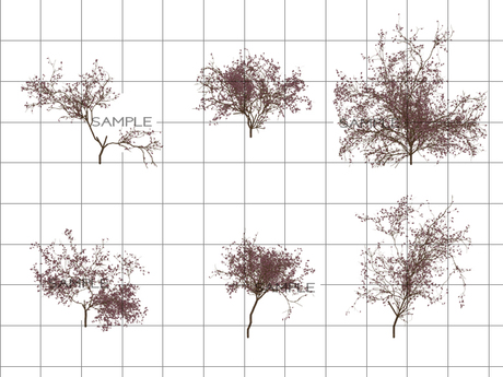 Second Life Marketplace - Tree Branches Alpha Textures - Set 3