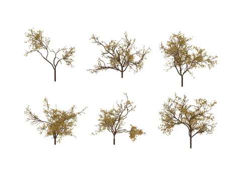 Second Life Marketplace - Tree Branches Alpha Textures - Set 5