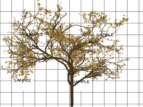 Second Life Marketplace - Tree Branches Alpha Textures - Set 5