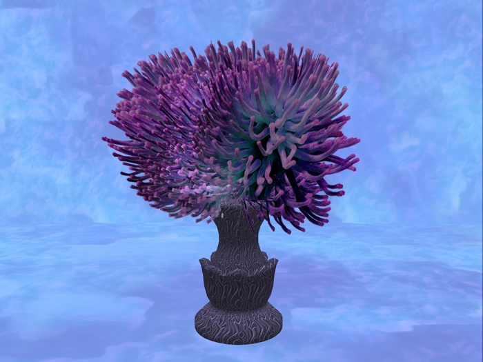 Second Life Marketplace - Coral Sensation #2, mesh and LOD sculpt.