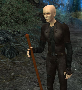 Second Life Marketplace - Old man / thug skin and shape