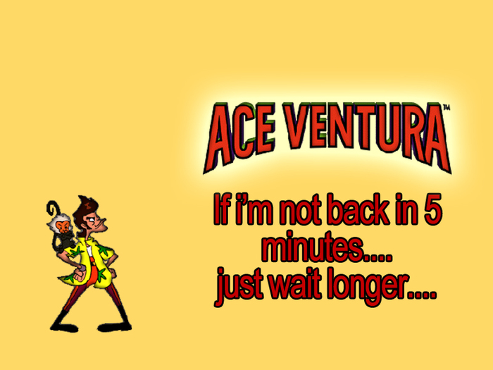Second Life Marketplace - Ace Ventura - Wait longer