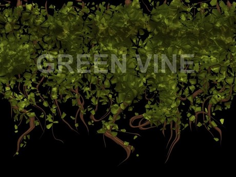 Second Life Marketplace - 16 vine and jungle vine textures 1024x1024 ...