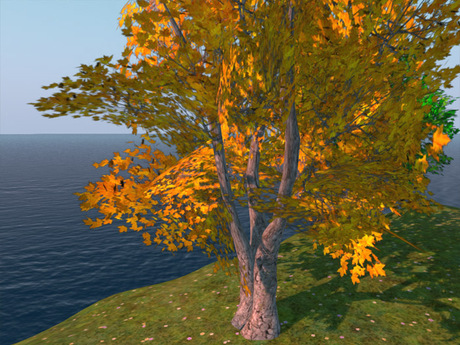 Second Life Marketplace - *LightStar- Maple Trees- 2 prims, 4 seasons