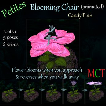 Second Life Marketplace - Petites Blooming Chair - Candy Pink *for ...
