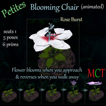 Second Life Marketplace - Petites Blooming Chair - Rose Burst *for ...