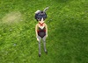 Second Life Marketplace - ARM - A Rigged Mesh - Miss Snow Bunny!