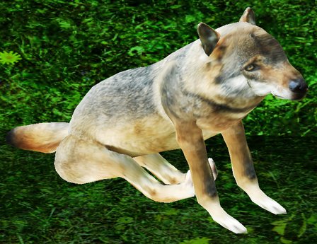Second Life Marketplace - 3D Animated Brown-WOLF - HUNTABLE