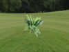 Second Life Marketplace - L$1 DOLLARBIE Green Anthurium PLANT 1 Prim 16 ...