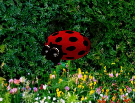 Second Life Marketplace - Dragonsfyre Ladybird RIDEABLE Ladybug ( wear me )