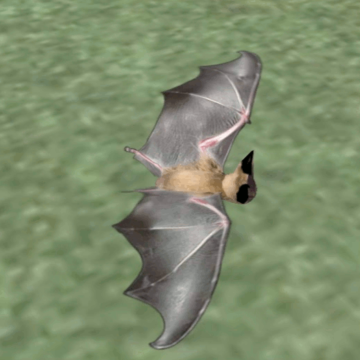 Second Life Marketplace - Vampire Bat Demo