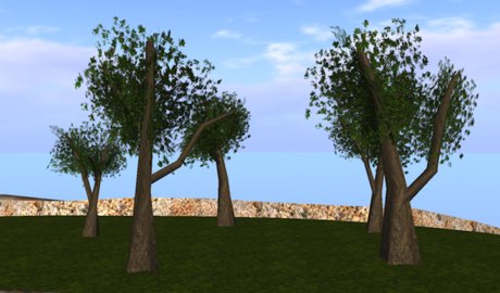 Second Life Marketplace - DBS 5 tree grove - 2 prims (crated)