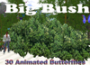 Second Life Marketplace - Shrub Green Yard Pack v9 Mesh(11x3)1PCM299 T ...