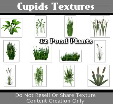 Second Life Marketplace - *CUPIDS TEXTURES* 12 Pond Plants textures alpha