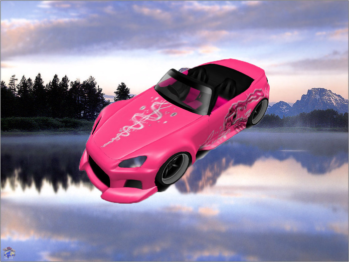 Second Life Marketplace - Speed FAST PINK 1------