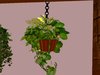 Second Life Marketplace - Sculpted Hanging Vine with Chain & Basket ...