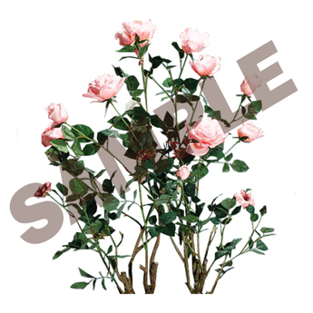Second Life Marketplace - 5 Seamless Dark Rose Bush Alpha Textures ...