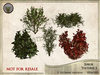 Second Life Marketplace - Shrub Textures 2