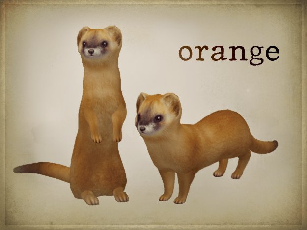 Second Life Marketplace - HPMD* Weasel - orange