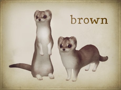 Second Life Marketplace - HPMD* Weasel - brown