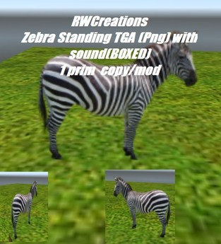 Second Life Marketplace - Zebra Standing TGA (Png) with sound V1 flat ...