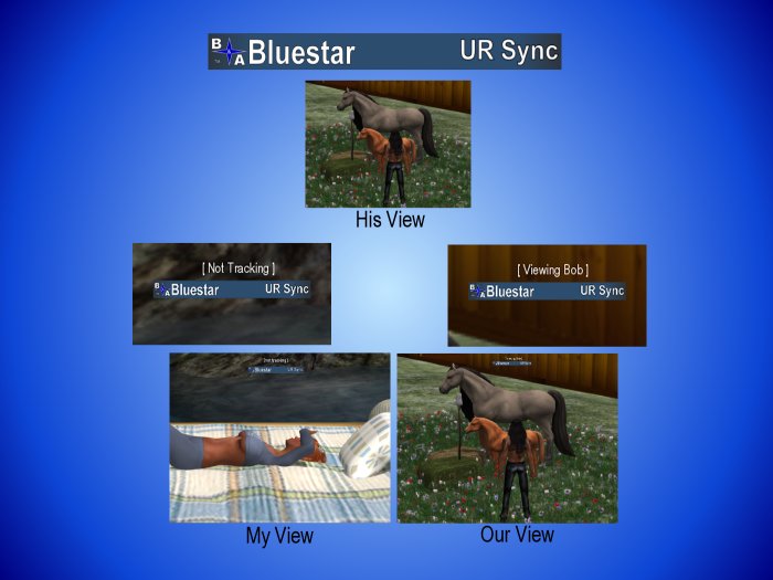 Second Life Marketplace - UR Sync HUD v1.2 (Boxed)