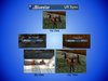 Second Life Marketplace - UR Sync HUD v1.2 (Boxed)