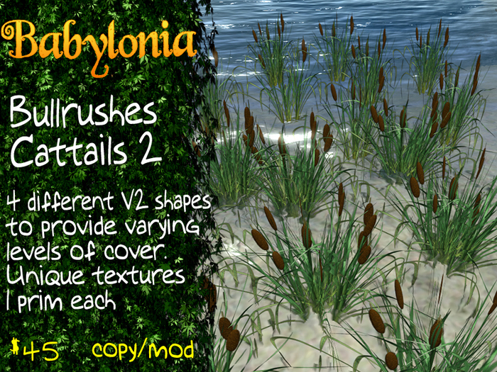 Second Life Marketplace - Babylonia: Bullrushes Cattails 2