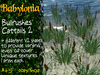 Second Life Marketplace - Babylonia: Bullrushes Cattails 2