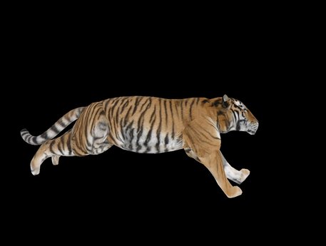 Second Life Marketplace - PETITE 1.9 Animated RIdeable Tiger3 w Sounds