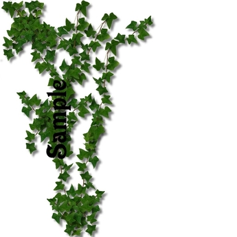 Second Life Marketplace - 25 Full Perm Ivy (Alpha Textures)