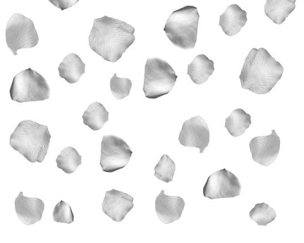Second Life Marketplace - 17 Full Perm Rose Petals (Alpha Textures)