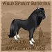 Second Life Marketplace - ~*WSR*~ Black Buckskin LGrn LL HGH ...