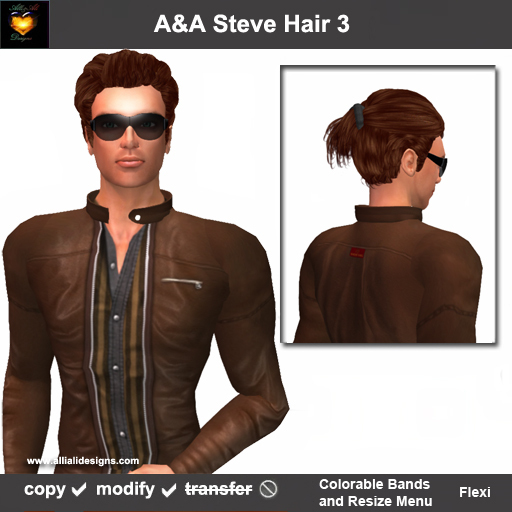 Second Life Marketplace - A&A Steve Hair Color 3 (from Valuepack). Mid ...