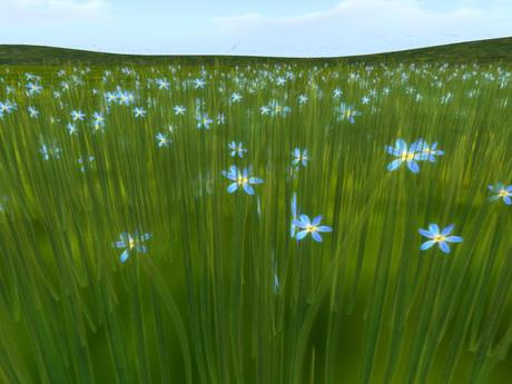 Second Life Marketplace - Carpet of Forget Me Nots (One of our many ...