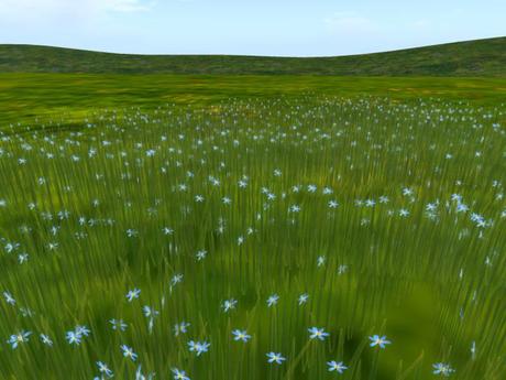 Second Life Marketplace - Carpet of Forget Me Nots (One of our many ...