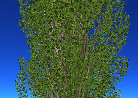 Second Life Marketplace - Lombardy Poplar Tree - realistic fully ...