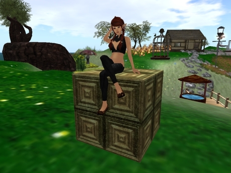 Second Life Marketplace - Petite Pixie Cube