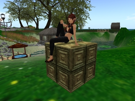 Second Life Marketplace - Petite Pixie Cube
