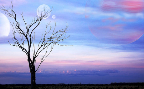 Second Life Marketplace - Alien Sky Digital Art