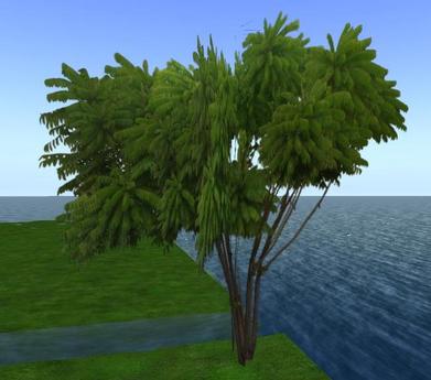 Second Life Marketplace - Tree: Bilimbi also known as Cucumber tree ...