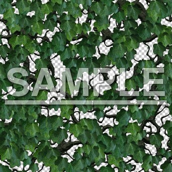 Second Life Marketplace - 16 ivy alpha textures 1024x1024 Seamless ...