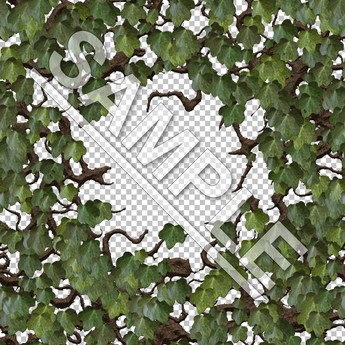 Second Life Marketplace - 16 ivy alpha textures 1024x1024 Seamless ...