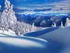 Second Life Marketplace - Snowy Vista Privacy Screen Alpha 20x20 (boxed)
