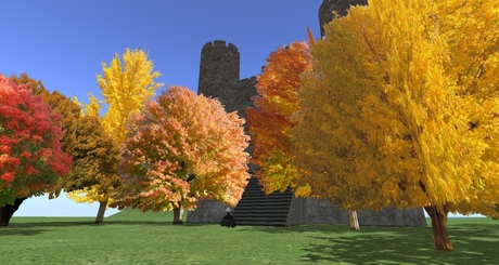 Second Life Marketplace - Autumn / Fall Red Maple Tree 1, version 2.2
