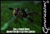 Second Life Marketplace - Animated Rats Eating Carcass
