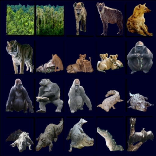 Second Life Marketplace - Kheph's Jungle Texture-Pack 1