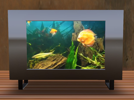 Second Life Marketplace - Video Aquarium Fish Tank - three different sizes