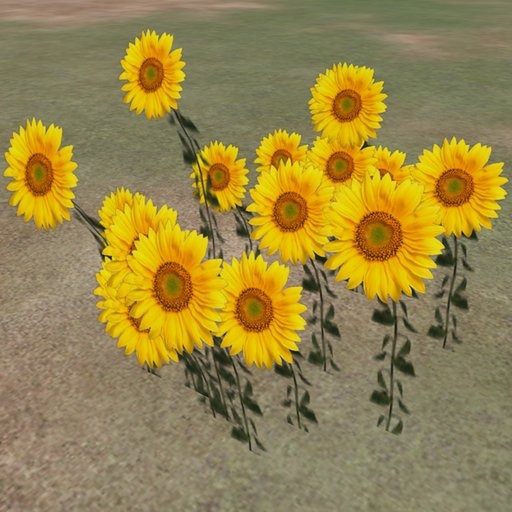 Second Life Marketplace - Solar Tracking Sunflowers turn to face the ...