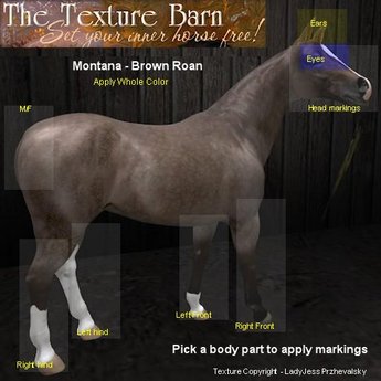 Second Life Marketplace - BC - Montana - Brown Roan Texture Pack